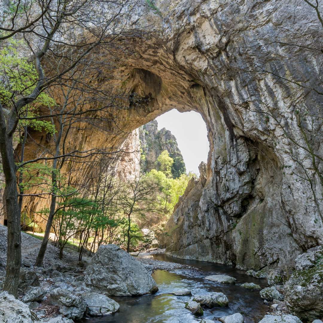 Prerasti u kanjonu Vratne –Suva prerast